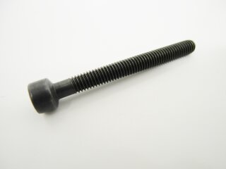 Schraube PD Elememt M6x55 070103385A